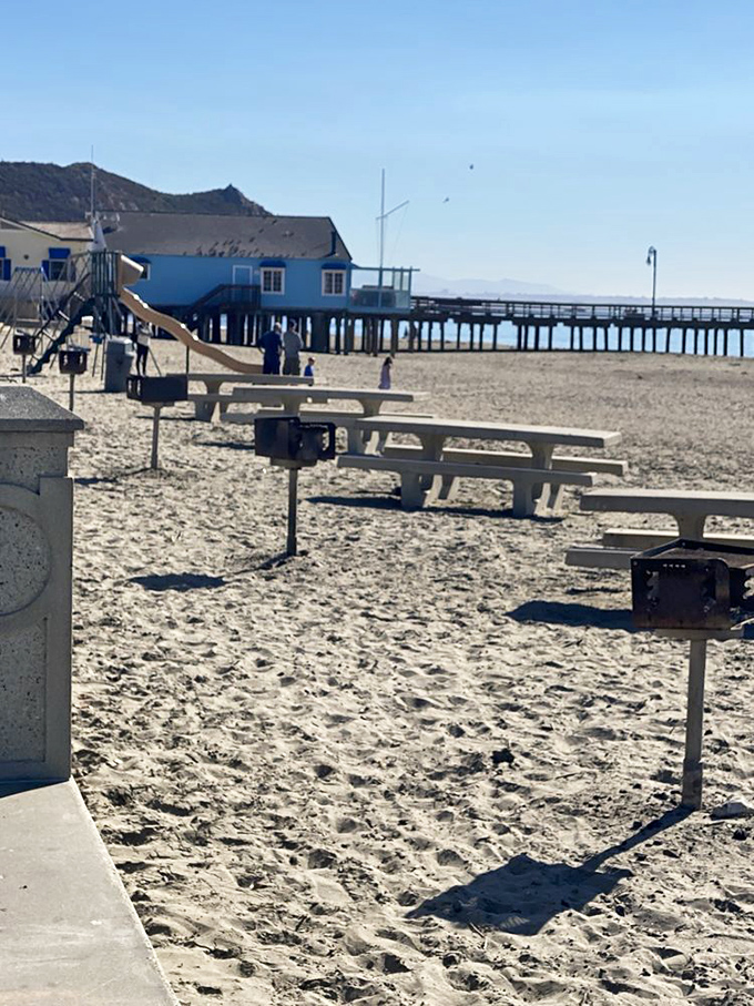 Beach benches with built-in BBQ pits&mdash;because Californians understand that watching waves works up an appetite for grilled everything.
