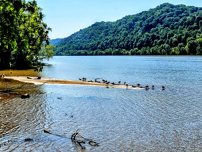 Where birds hold their daily convention on a sandy peninsula. They're definitely discussing how lucky they are to call this place home.