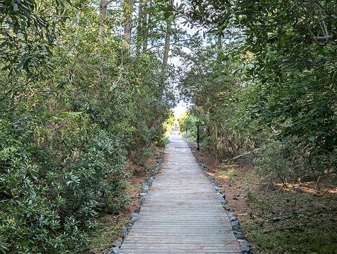 The path to paradise is surprisingly well-marked. This wooden walkway tunnels through lush greenery, promising beach rewards at journey's end.