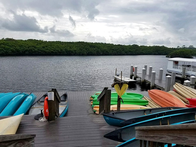 Watercraft rainbow! These colorful kayaks and canoes aren't just boats&mdash;they're your personal tickets to explore Florida's wild waterways. 