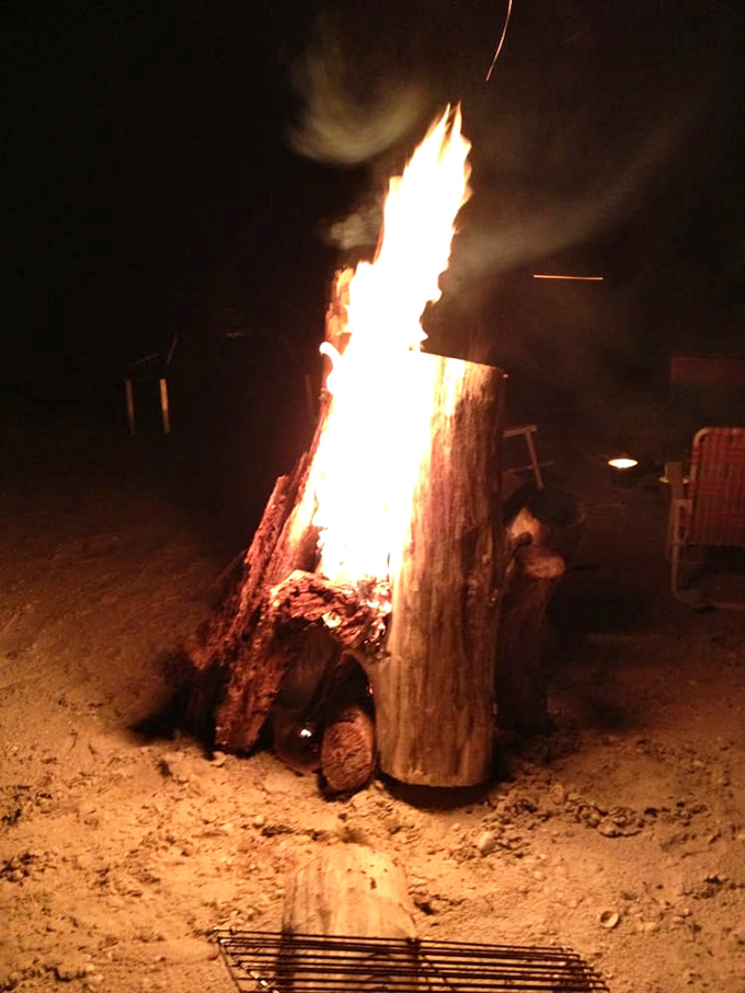 Beach bonfires: where stories get taller and friendships grow deeper. Keewaydin's nighttime ritual transforms ordinary evenings into memories that last decades.