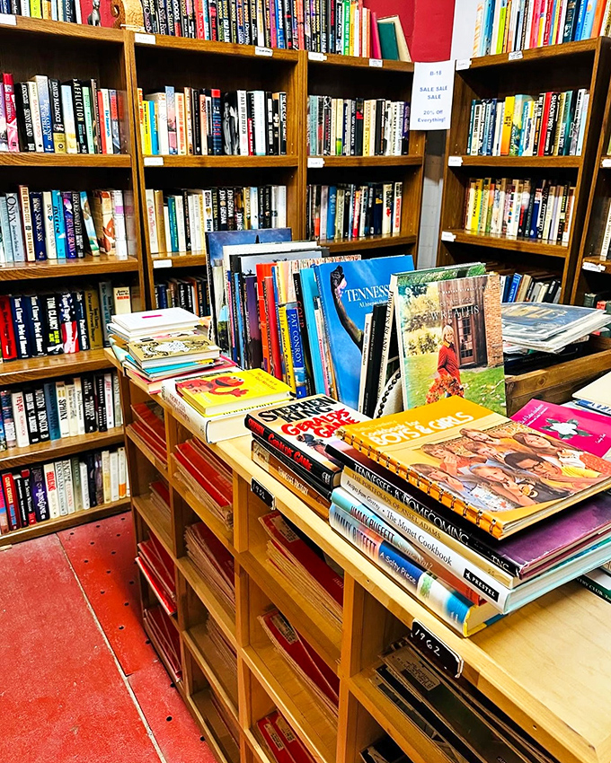 Cookbook heaven where Julia Child meets church potluck recipes &ndash; culinary history stacked spine to colorful spine.