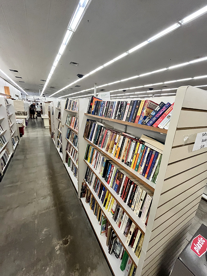 Books stand in orderly rows, their spines a colorful timeline of ideas, stories, and forgotten bestsellers waiting for their literary second act.
