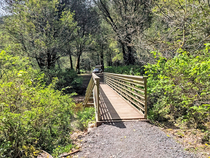 Even the bridges here are built to complement nature's artistry rather than compete with it.