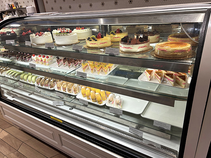 The cake case&mdash;where celebration meets art. These aren't just desserts; they're edible time machines to childhood birthday parties and special occasions.