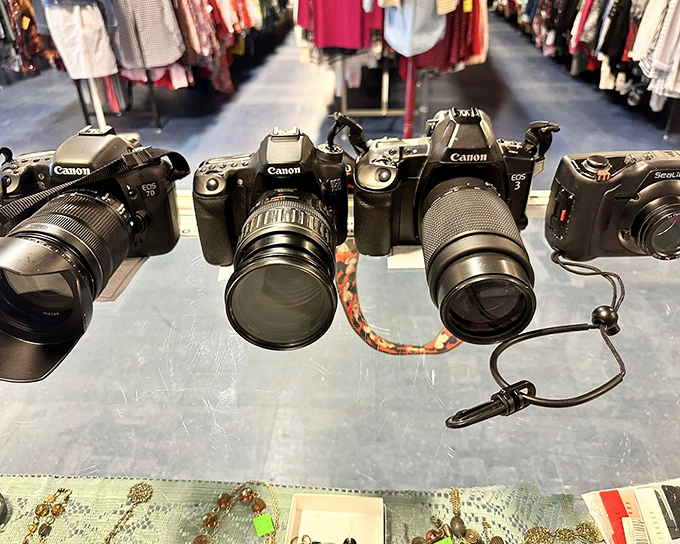 Canon cameras that have captured countless memories now waiting for your adventures. Professional-grade equipment without the professional-grade price tag.