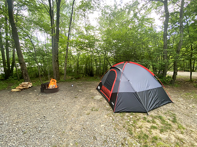 Home is where you pitch it. This campsite offers five-million-star accommodations with the best nightlight ever &ndash; a crackling campfire.