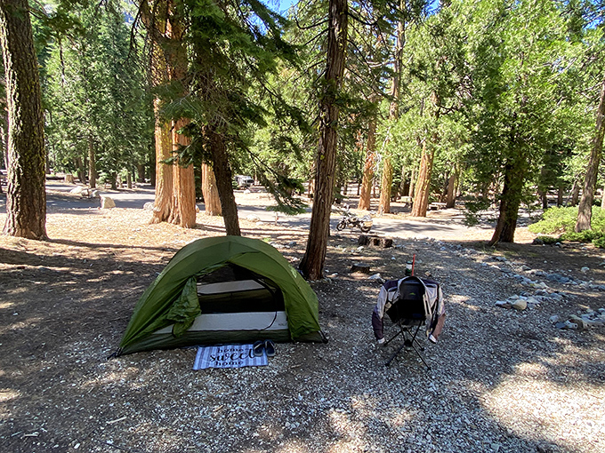 Camping spots where "roughing it" means no Wi-Fi but unlimited stars and pine-scented air.