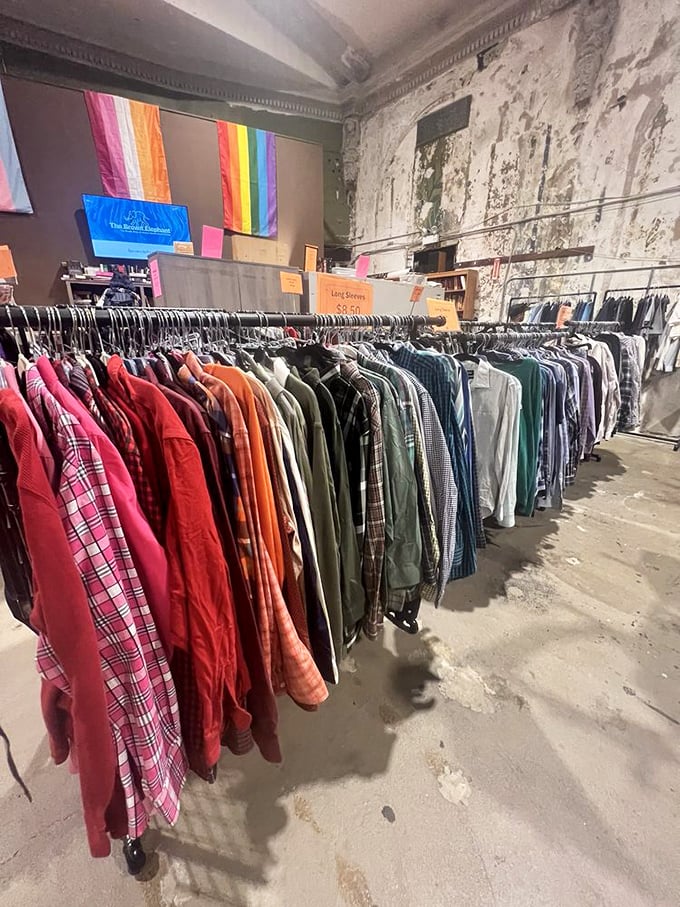 The rainbow of shirts tells a color story all its own. Fashion's fleeting trends find second lives here, where yesterday's splurge becomes tomorrow's steal.
