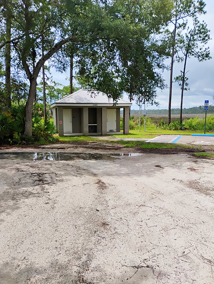 Even basic facilities feel special when surrounded by wilderness. This humble restroom has saved many an outdoor adventure from premature conclusion.