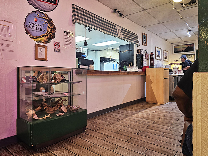 The counter where seafood dreams come true—simple, straightforward, and completely devoid of pretension, just like the food it serves.