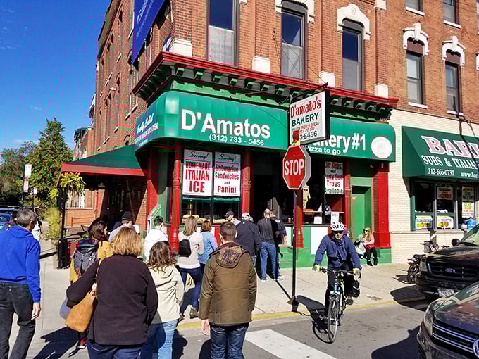 The line outside D'Amato's isn't just people waiting; it's a community forming. Some traditions are worth standing for, especially when cannoli is involved.