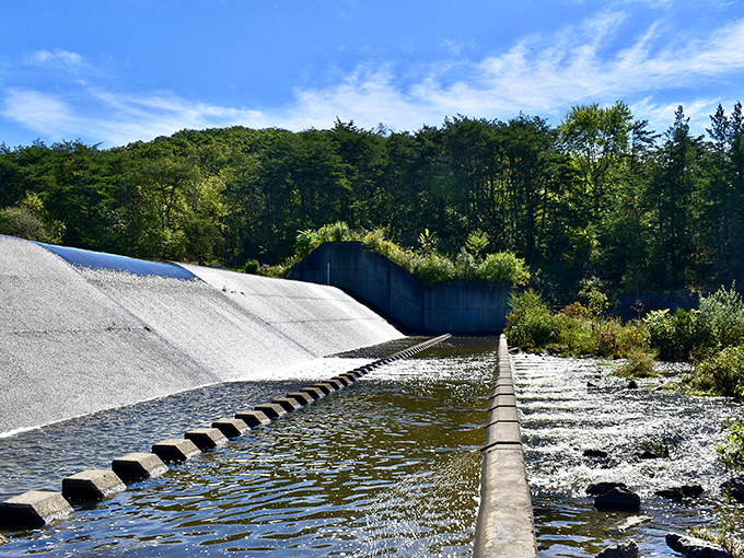 Engineering meets nature at the park's dam, where rushing water creates a soundtrack more soothing than any meditation app on your phone. 