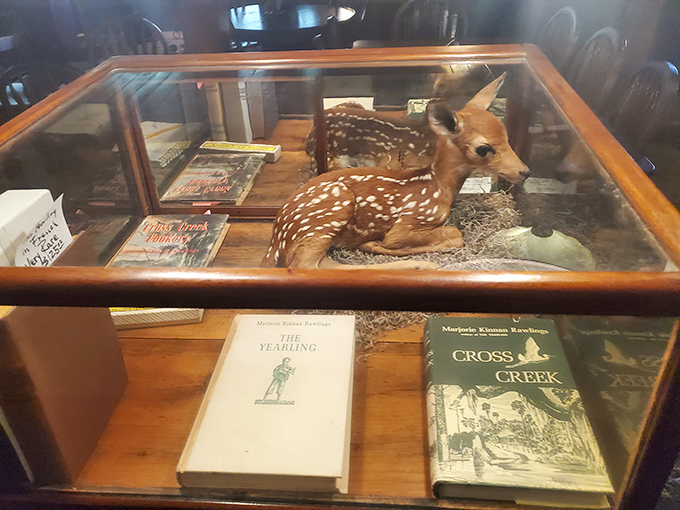 A preserved yearling deer in a display case with Rawlings' books below &ndash; the literary inspiration for the restaurant's name and spirit.