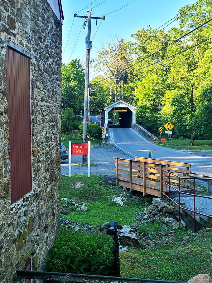 From a distance, it's like spotting an old friend across a crowded room full of trees.