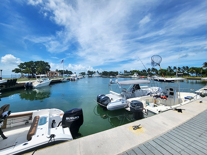 The marina's calm waters reflect clouds and dreams equally well, a protected haven where boats rest between adventures on Biscayne Bay.