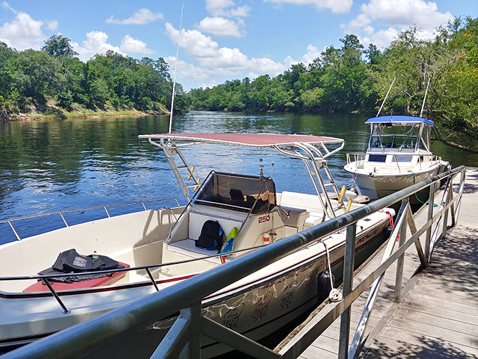 Boats wait patiently at the dock like eager puppies, ready to explore the tannic waters of the Suwannee River beyond. 