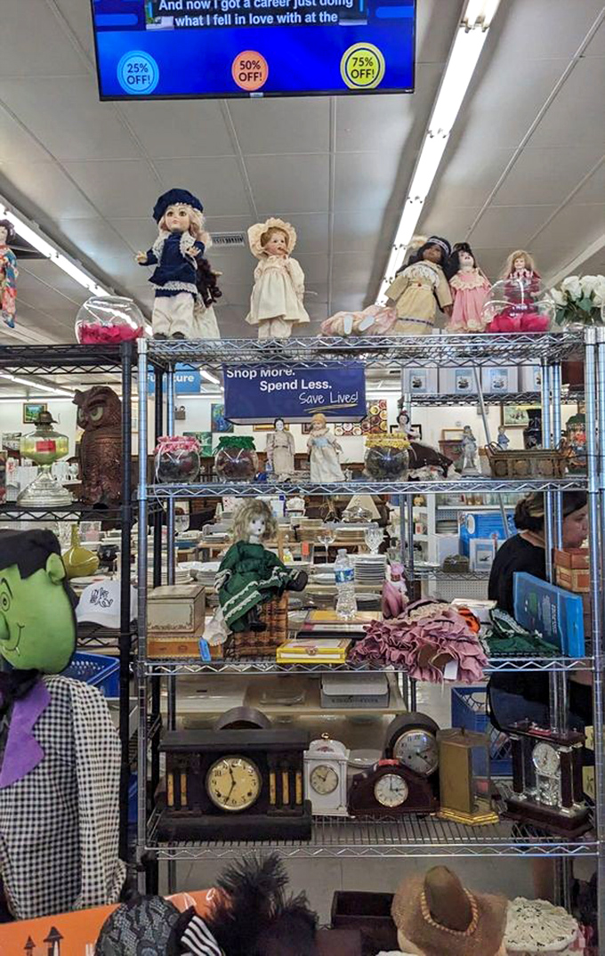 The doll collection watches over the store like tiny guardians of nostalgia. Some find it charming, others slightly unsettling&mdash;all find it memorable.