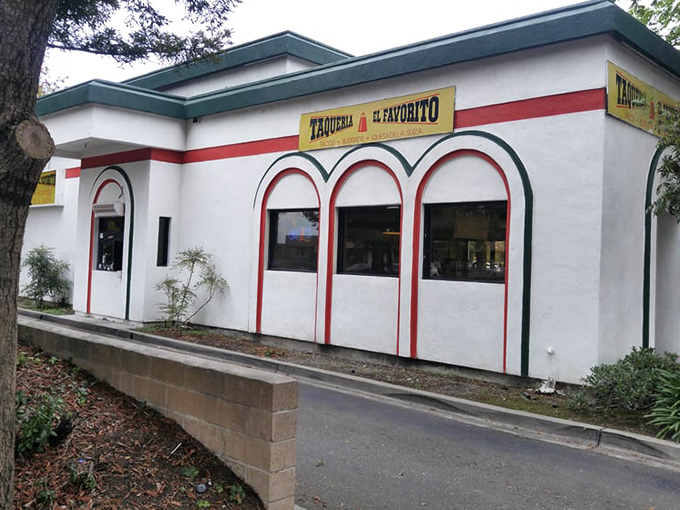 Even the drive-thru exit looks inviting. Some regulars never make it past this point—their cars know the way by heart.