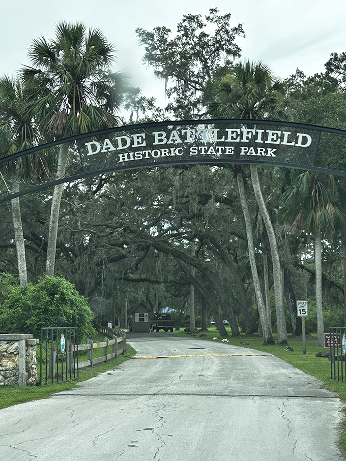 Gateway to yesterday: The park's entrance arch frames a corridor of Spanish moss and palm trees, nature's perfect time portal to Old Florida.