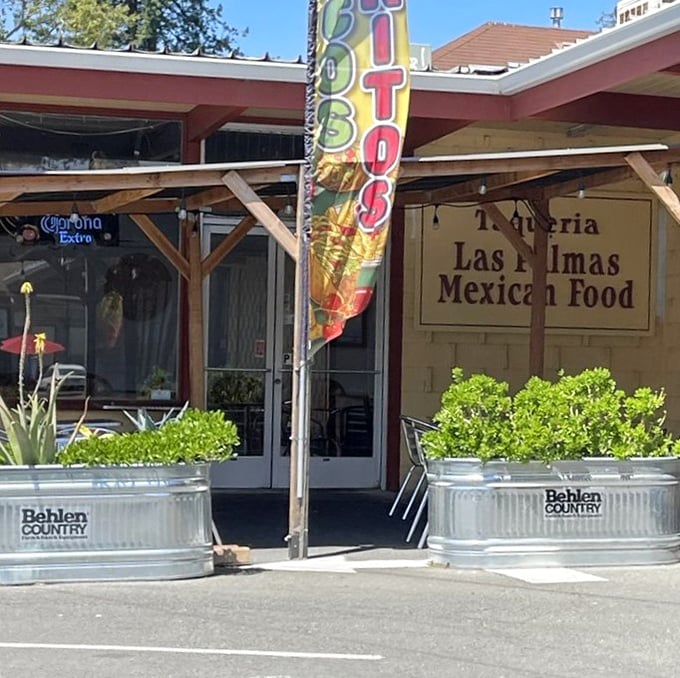 The entrance beckons with promises of "burritos" on colorful flags. Those galvanized planters aren't just decorative&mdash;they're the velvet rope to California's tastiest club.
