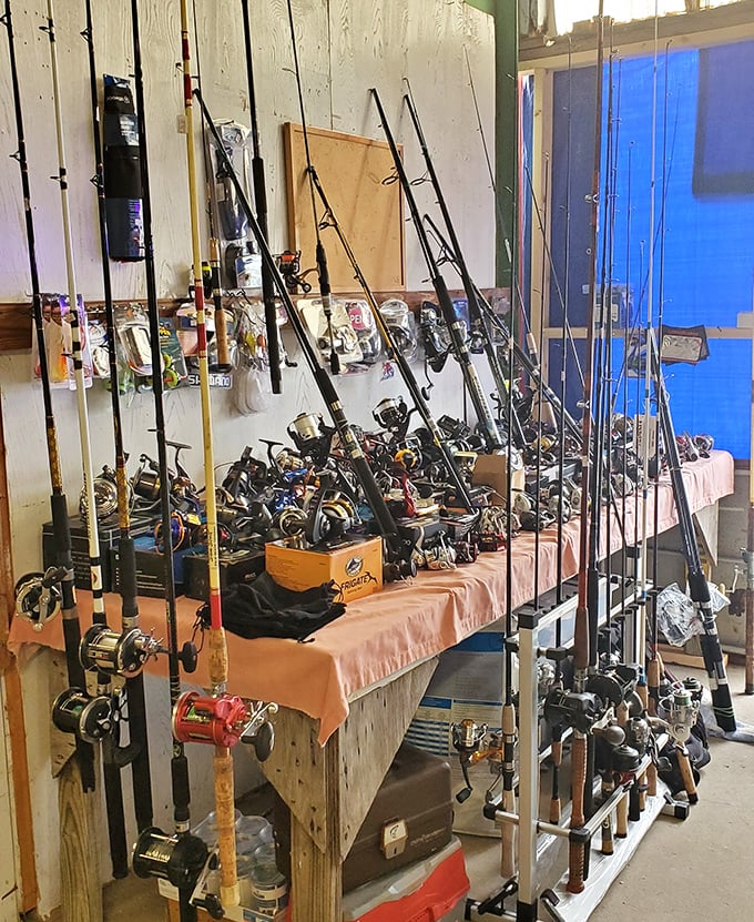 Fishing rod forest where weekend anglers can find the perfect excuse for why they still came home without catching anything.