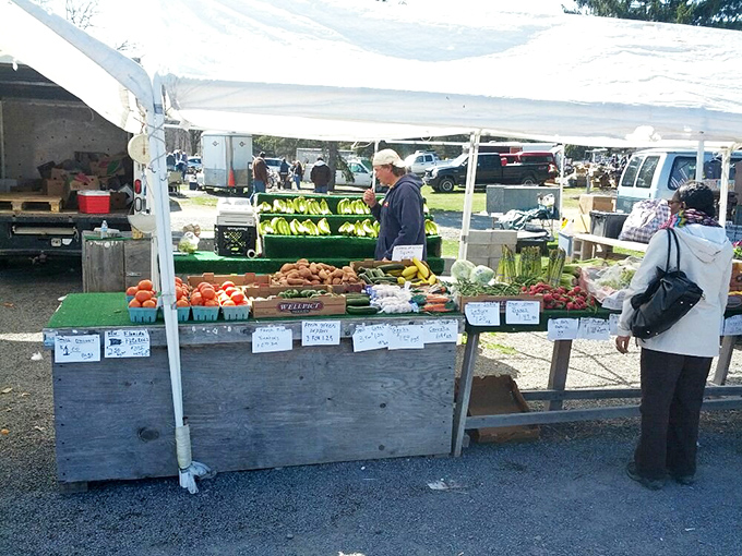 Farm-to-flea-market freshness. Local produce gleams in the morning light, bringing countryside bounty directly to bargain-hunting shoppers.