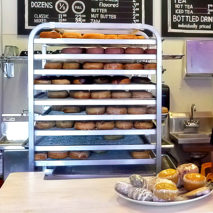 Donut perfection in waiting – rows of freshly made circles ready for their moment in the spotlight (and your stomach).