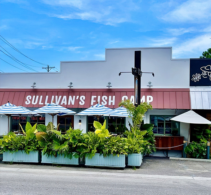 Under Carolina blue skies, Sullivan's Fish Camp stands ready for another day of turning hungry visitors into satisfied regulars one plate at a time.