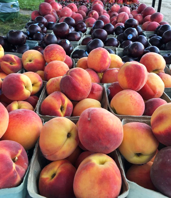 Nature's candy displayed in perfect rows. These sun-kissed peaches and plums bring farmers market freshness to the flea market experience.