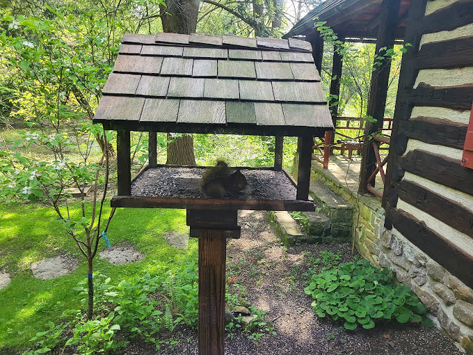 Wildlife interactions happen naturally here, like stumbling into your own personal nature documentary episode.