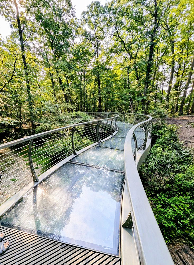 Walking on air! This curved glass walkway offers Instagram-worthy views and that delicious stomach-drop feeling without the need for expensive theme park tickets.