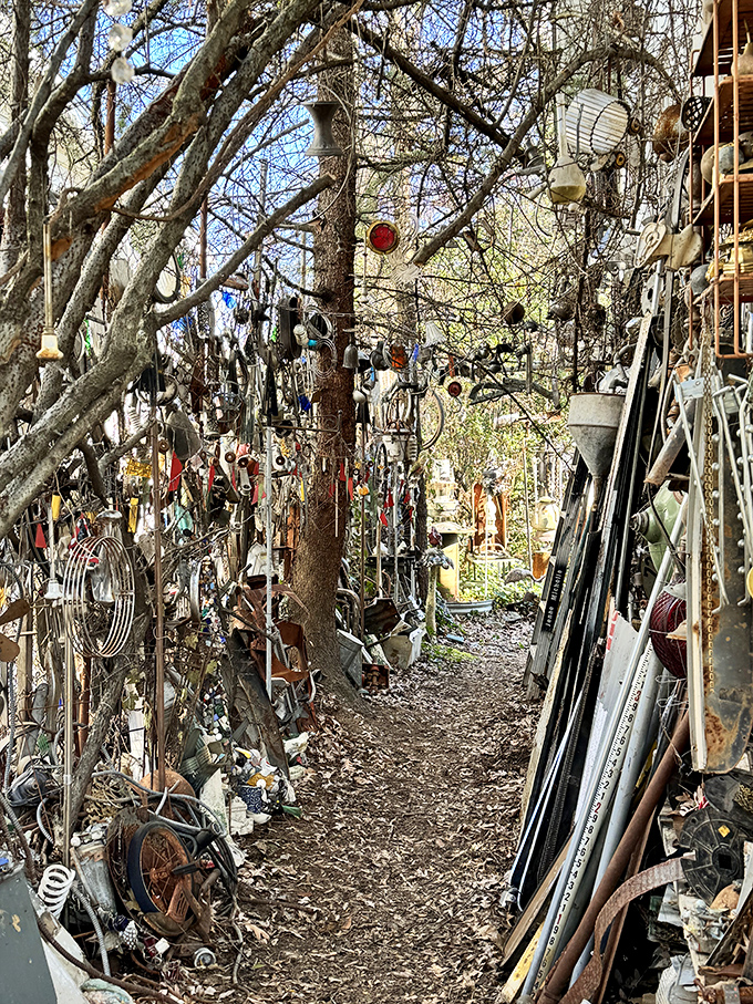 Nature and metal coexist in this narrow passage. The trees reach skyward while discarded treasures line the path like industrial sentinels.