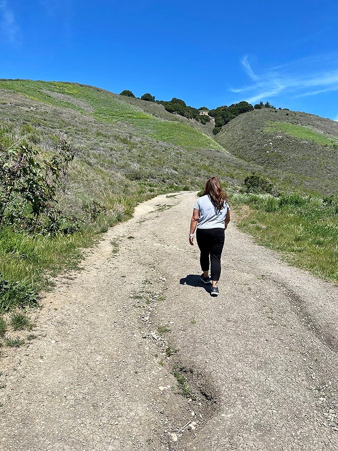 The path less traveled leads to views more treasured &ndash; this trail promises leg day with benefits beyond any gym.