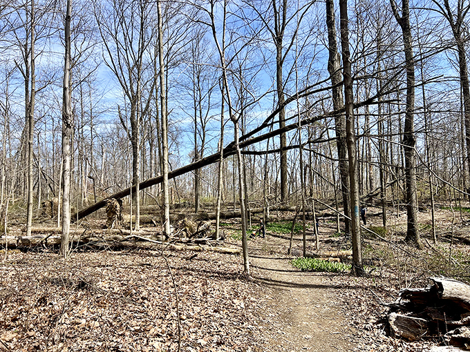 The trail doesn't care about your step count&mdash;it's more interested in how many worries you can leave behind on your journey.