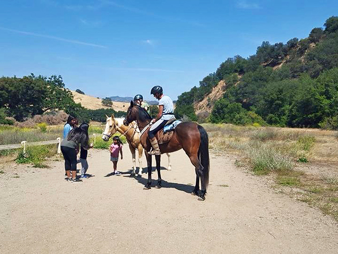 Exploring the park on horseback adds a touch of old Western charm. These four-legged tour guides offer a perspective that no hiking boot can match.