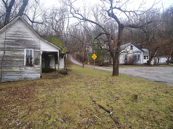 These weathered houses along a country road tell stories of generations who called this slice of Southern Illinois home.
