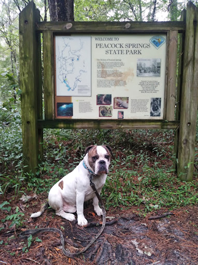 Educational and beautiful - proof that learning about nature beats any classroom lecture.