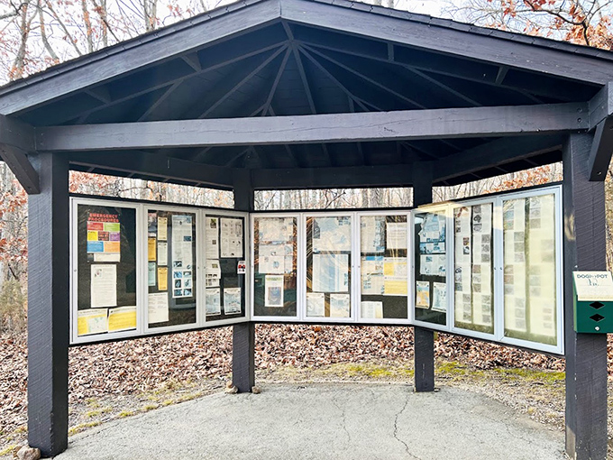 The park's information kiosk stands ready to transform casual visitors into amateur geologists with fascinating facts about these ancient formations.