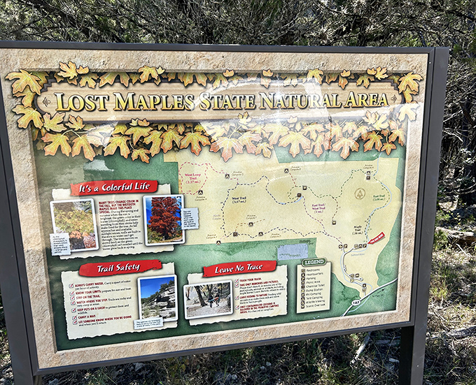 The information board&mdash;where expectations meet reality and hikers suddenly realize they've packed entirely the wrong shoes.