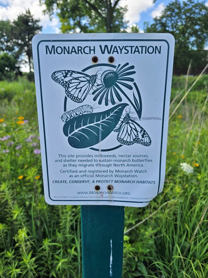Conservation meets creativity at this Monarch Waystation. The park nurtures both artistic and natural beauty with equal dedication.
