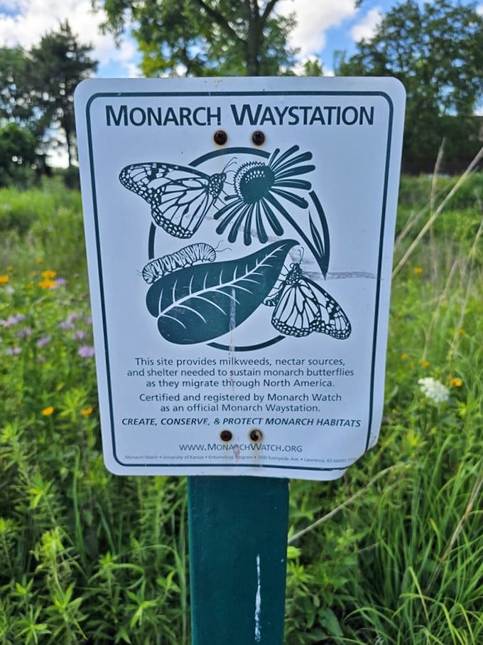 Conservation meets creativity at this Monarch Waystation. The park nurtures both artistic and natural beauty with equal dedication.