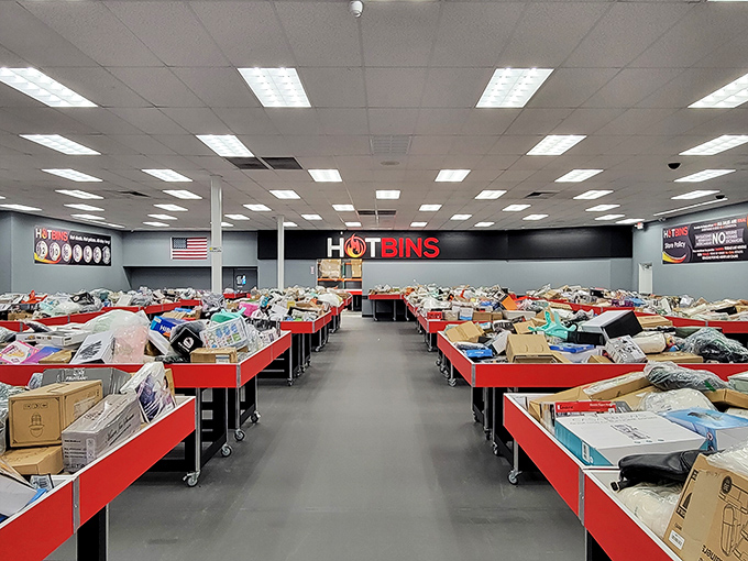 The grand overview reveals the true scale of this bargain universe. Like a retail galaxy where each bin is its own solar system of savings.