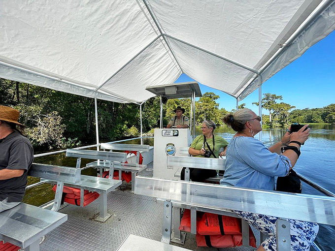 Front-row seats to nature's greatest show: boat tour passengers scan the shoreline for wildlife while gliding through Wakulla's pristine waterways.