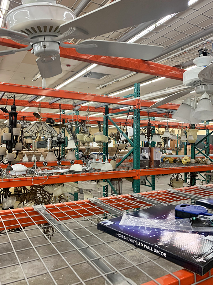 Lighting fixtures hanging like strange fruit from industrial trees. That vintage chandelier could be the conversation piece your dining room has been missing.