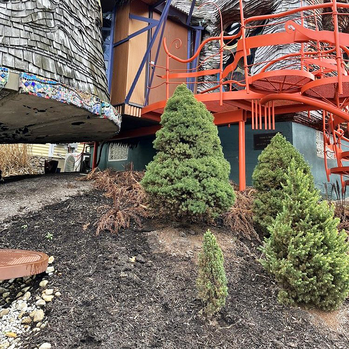 Evergreens provide the perfect natural frame for this architectural rebellion against the ordinary and expected.