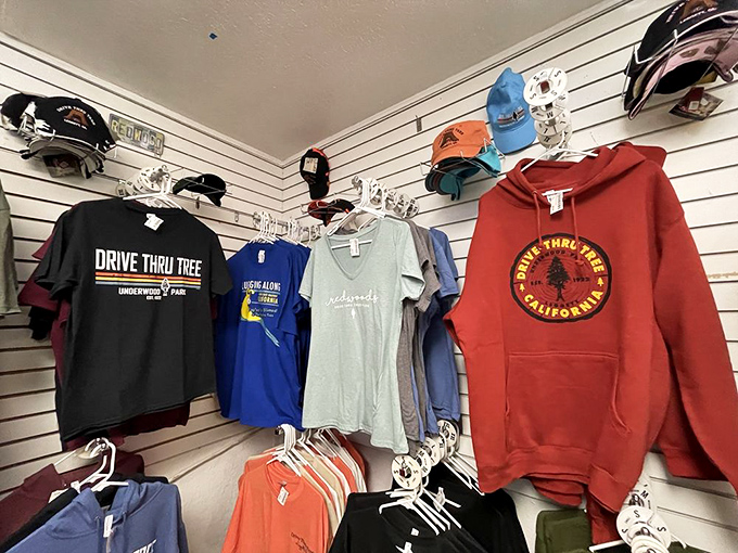 Wear your tree-mendous experience home. The gift shop's apparel lets you broadcast your achievement of driving through something older than Christianity.