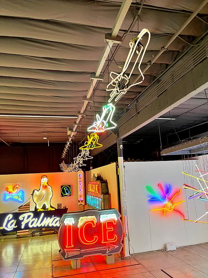 A squadron of neon aircraft flies overhead, proving that even the ceiling becomes canvas in this three-dimensional light gallery.
