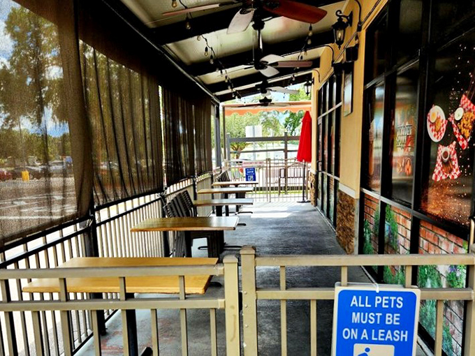 The pet-friendly patio offers al fresco dining with a side of people-watching&mdash;Florida's version of European caf&eacute; culture.