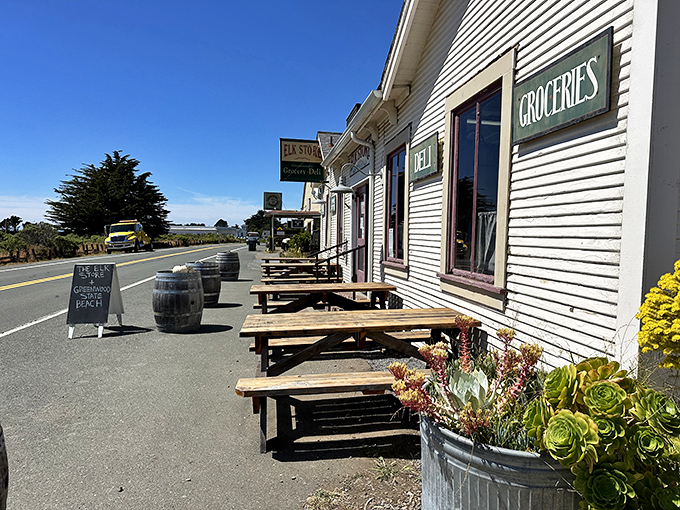 Highway 1 dining at its finest: picnic tables with ocean breezes, succulent gardens, and the promise of sandwich bliss just steps away.